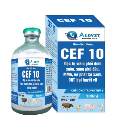 CEF 10 - alovet.com.vn